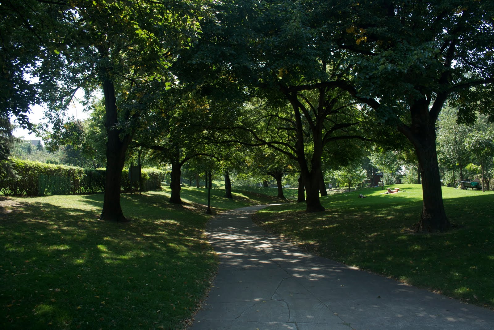 Fabián Arias: Westmount Park Photographs