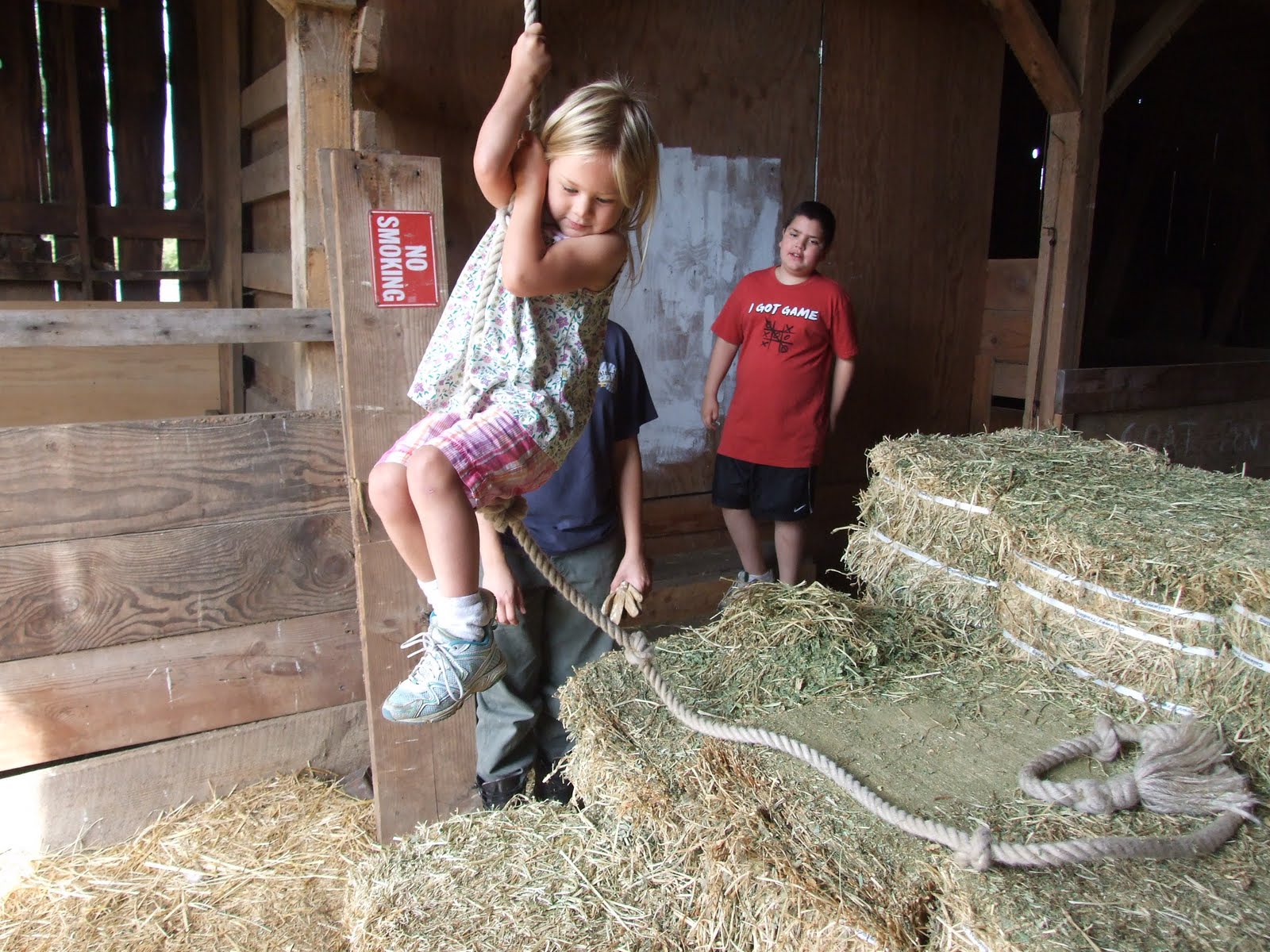 Willow Farm: Barn Swing