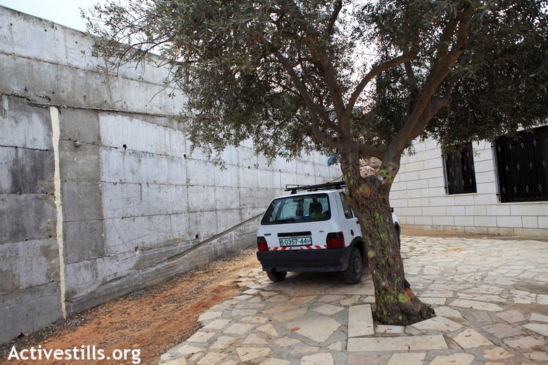Chroniques de Palestine et d'ailleurs- Resistances, human rights and ...