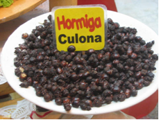 C88-G1- Comidas exóticas: ¡Las Hormigas Culonas: De Santander ...