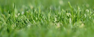 Diário do Campus de Angra do Heroísmo da Universidade dos Açores ...