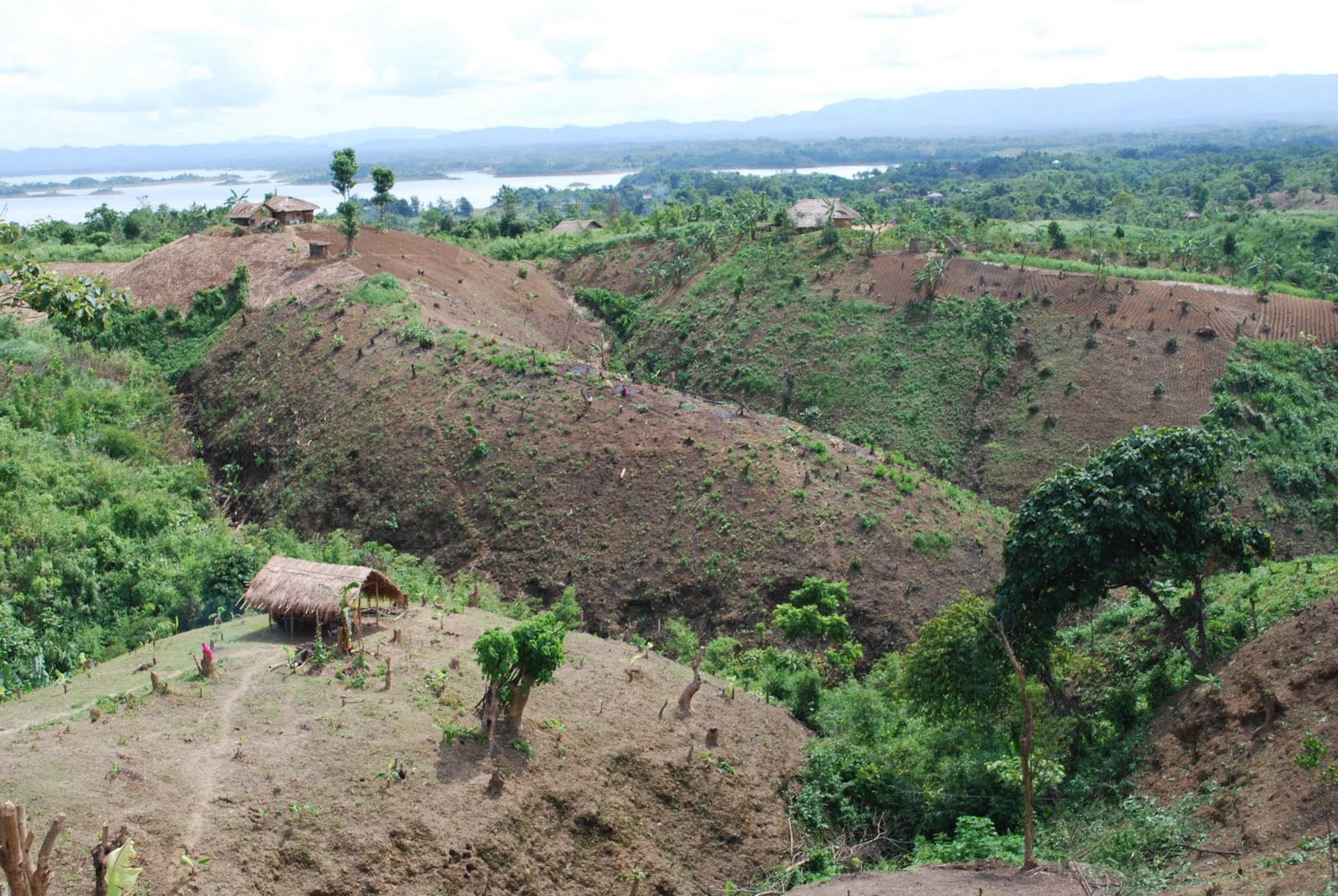 BonnoZahid: Jhum cultivation in the Kaptai National park of Bangladesh