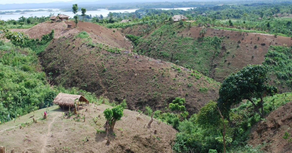 BonnoZahid: Jhum cultivation in the Kaptai National park of Bangladesh