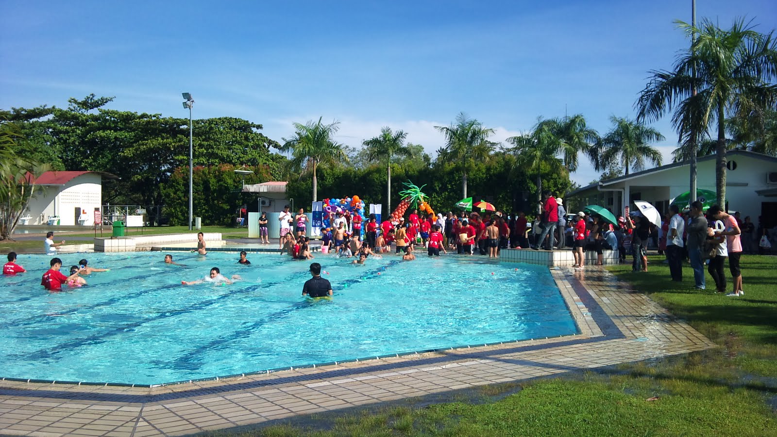 Balloon decorations for weddings, birthday parties, balloon sculptures ...