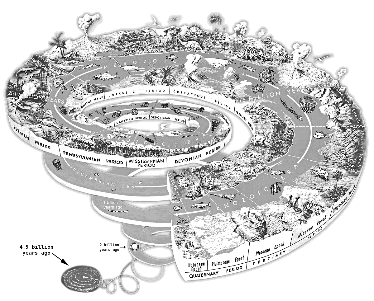 Lightbody Awakening: Cyclical Time and the Divine Spiral
