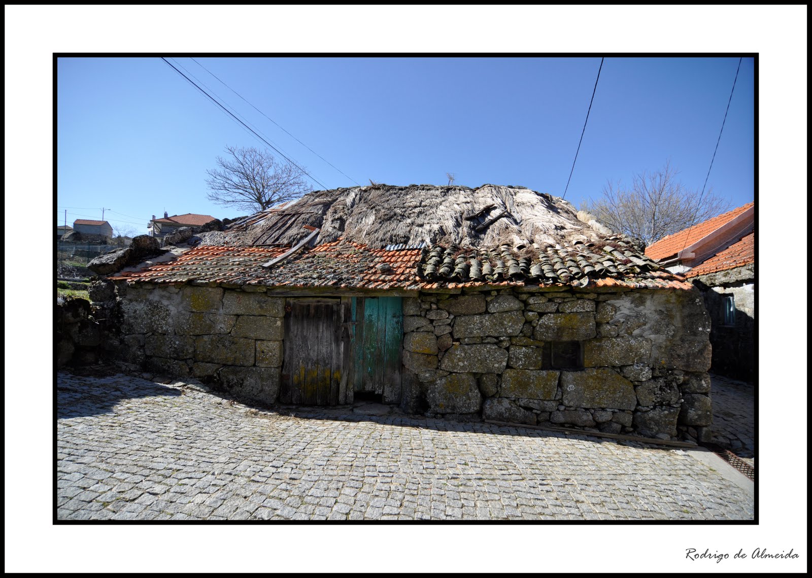 VisuNatura: abril 2010