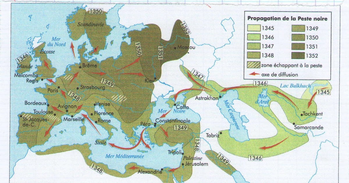 La peste noire: A) Diffusion de la peste