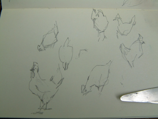 Prismatic Palette: How to Build a Hen House