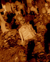 PUMPKINROT.COM: The Blog: Halloween 2004