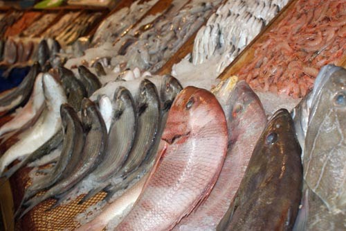 Moroccan Meanderings: Agadir - fish market
