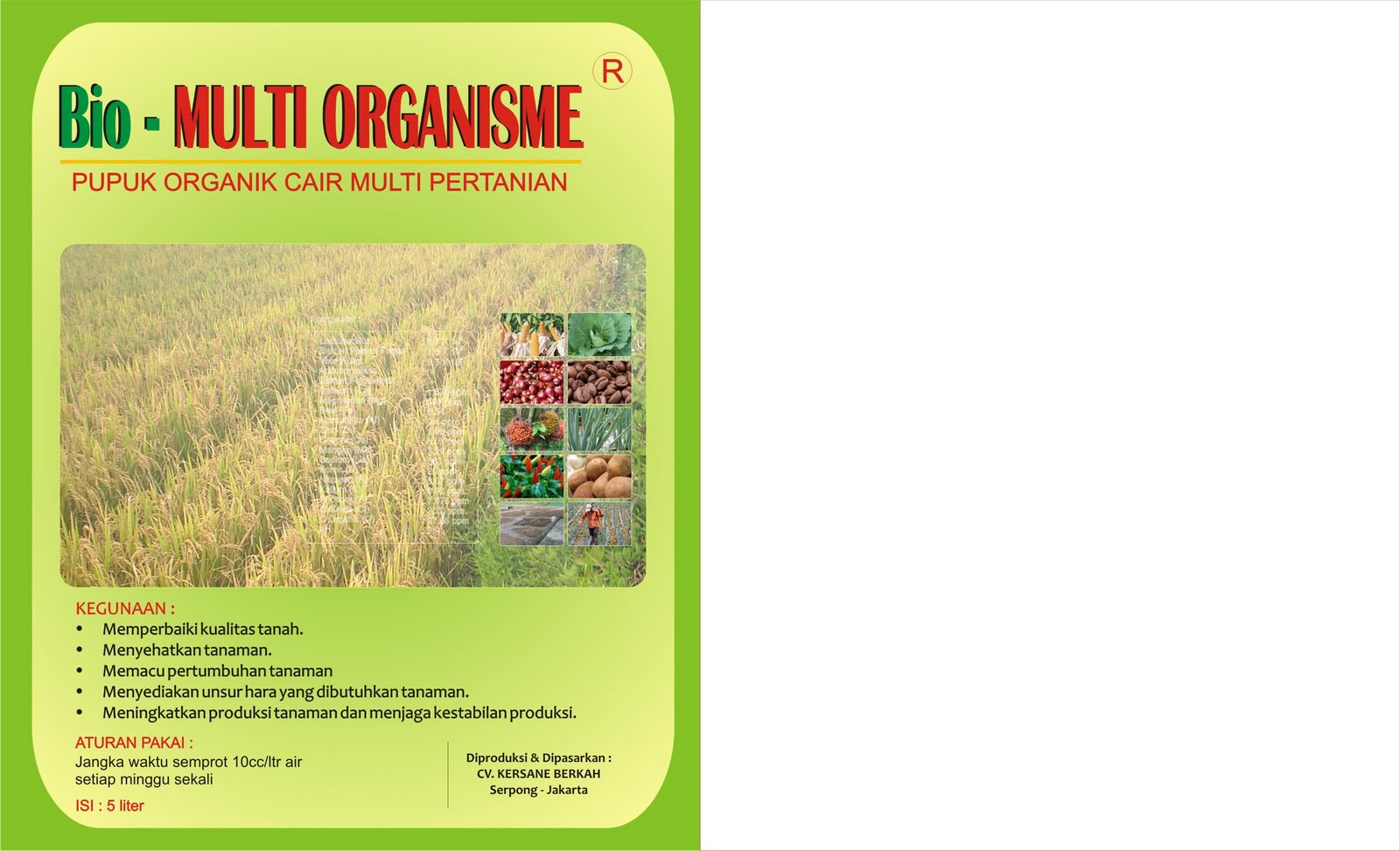 BERKARYA DALAM PERTANIAN