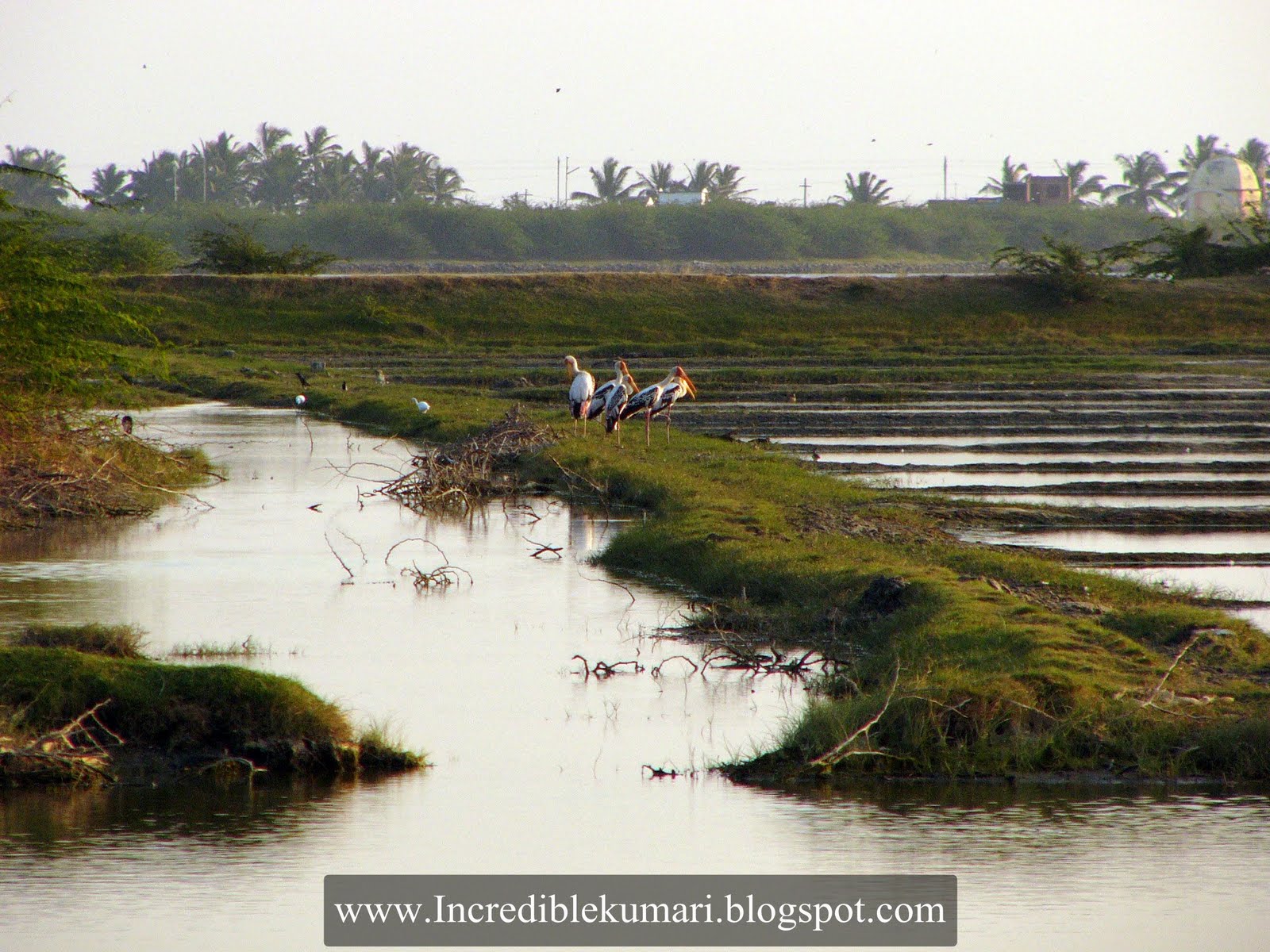 Exploring Kanyakumari: Manakudi Special - 3