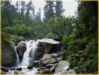 ECOSISTEMAS ACUATICOS: ECOSISTEMAS CONTINENTALES LOTICOS: RIOS Y ARROYOS