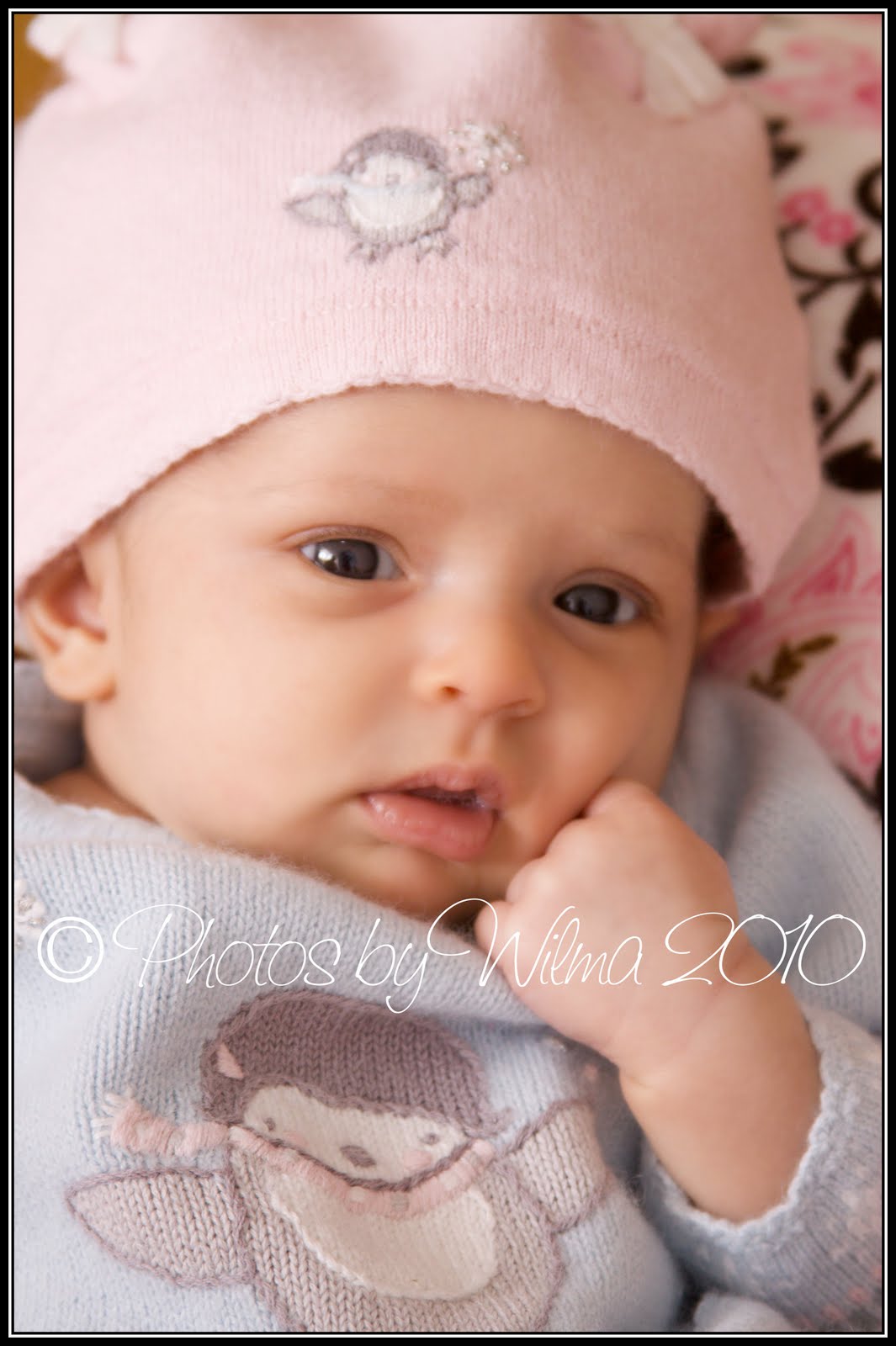 Photos by Wilma: Introducing Baby Sofia
