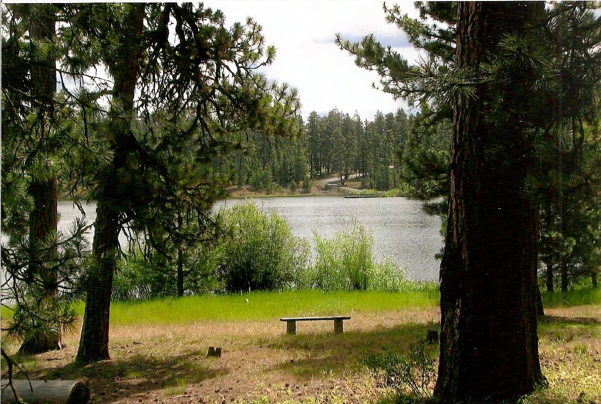 Tending Our Gardens: Baby Frogs