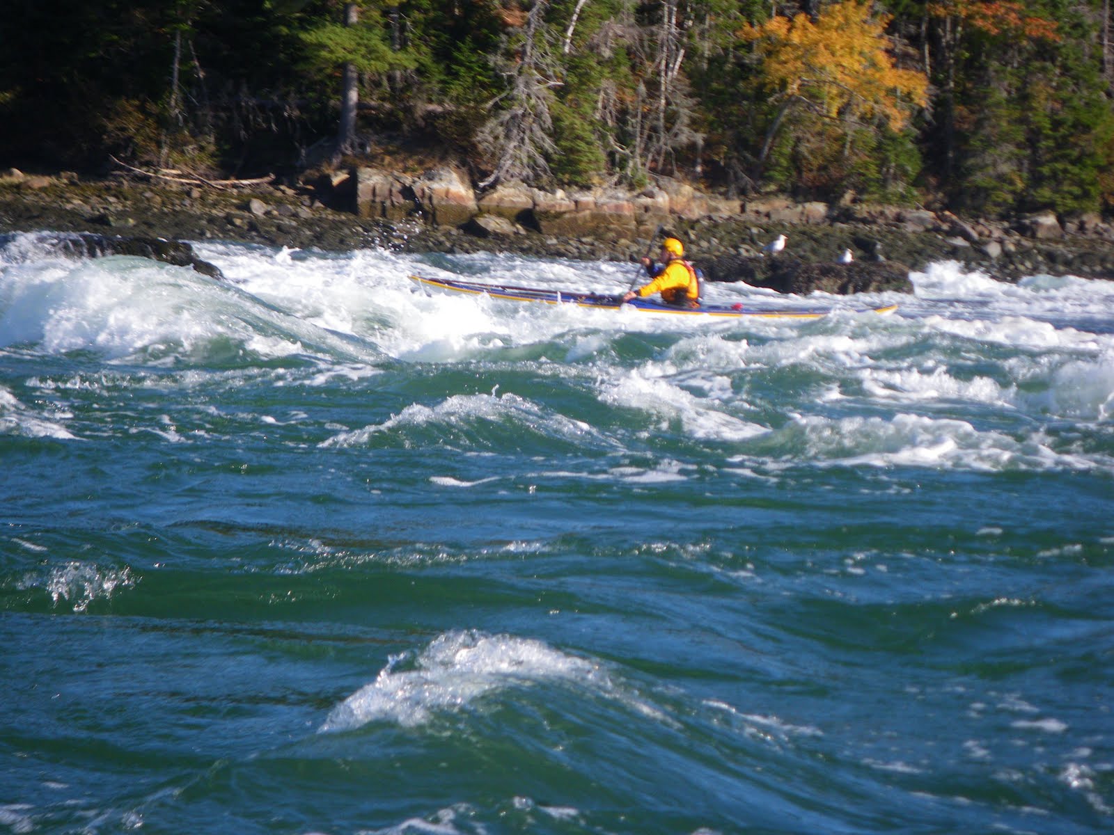 Sea Kayak Stonington: Sullivan Falls