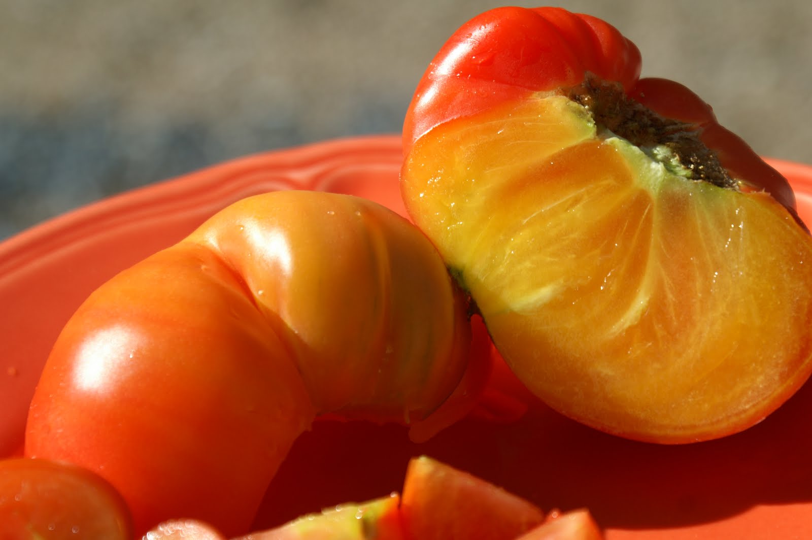 beste'nin naneleri: cam fistikli pestolu yesil, kirmizi domates ...