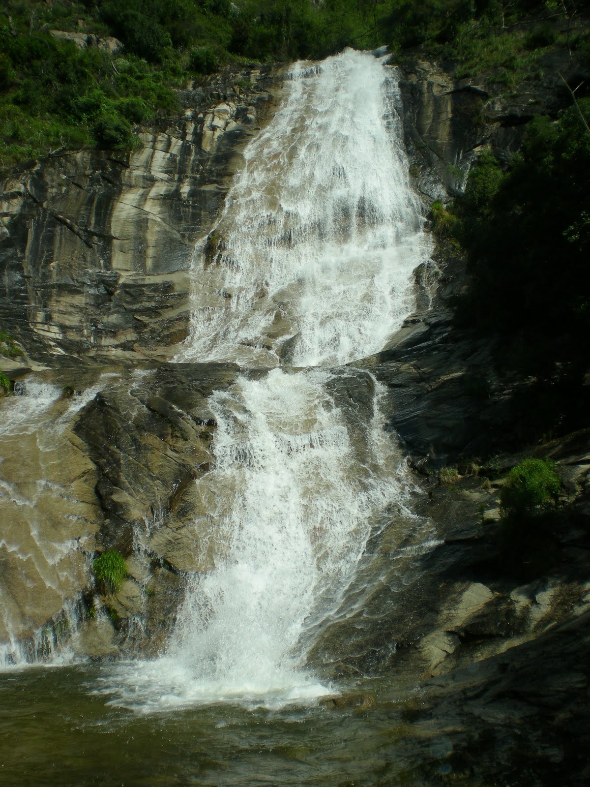 CAMINAR Y SENTIR: GUALBA