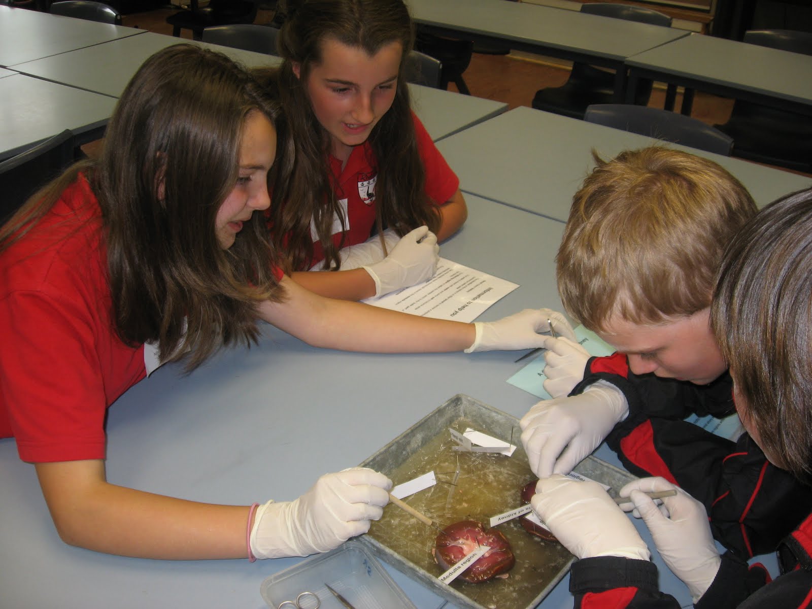 TEAM-ONE-REDCLIFFS: Year 7 Science Competition Winners!