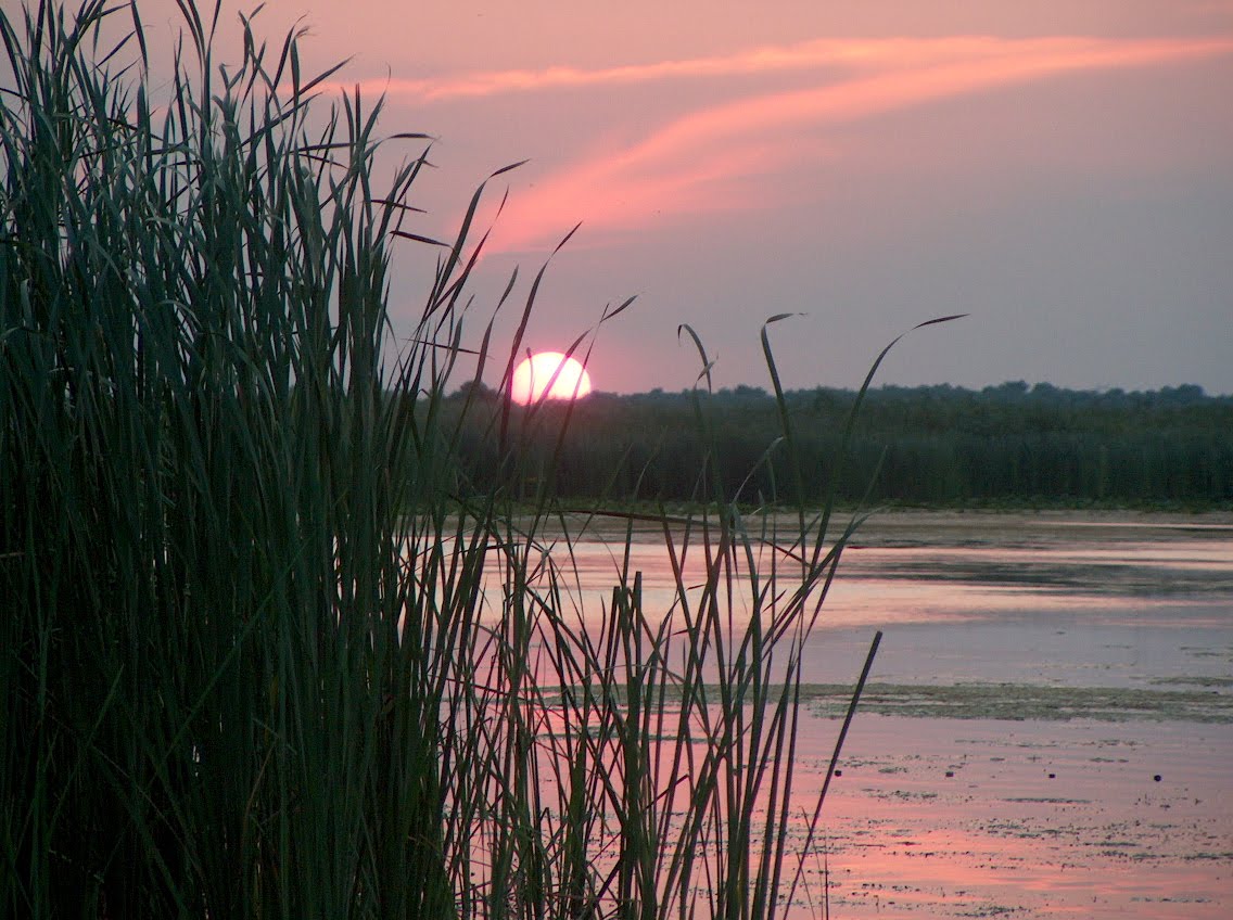 Delta Dunarii | Galerii foto si lucruri de aflat