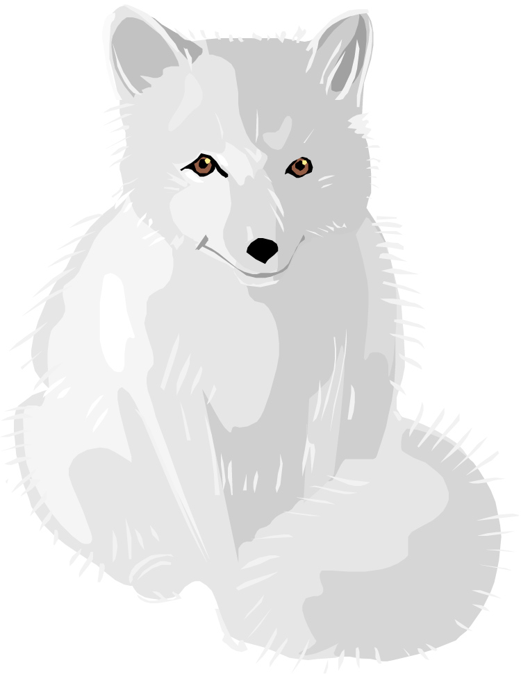 Nature: Observations and Meanings: Kitsune (Japanese Fox Spirits) (2)