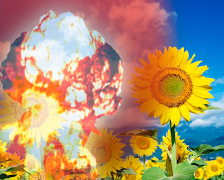 CAN SUNFLOWER NEUTRALIZE WASTE NUCLEAR RADIATION? | WELCOME AND STAY HERE