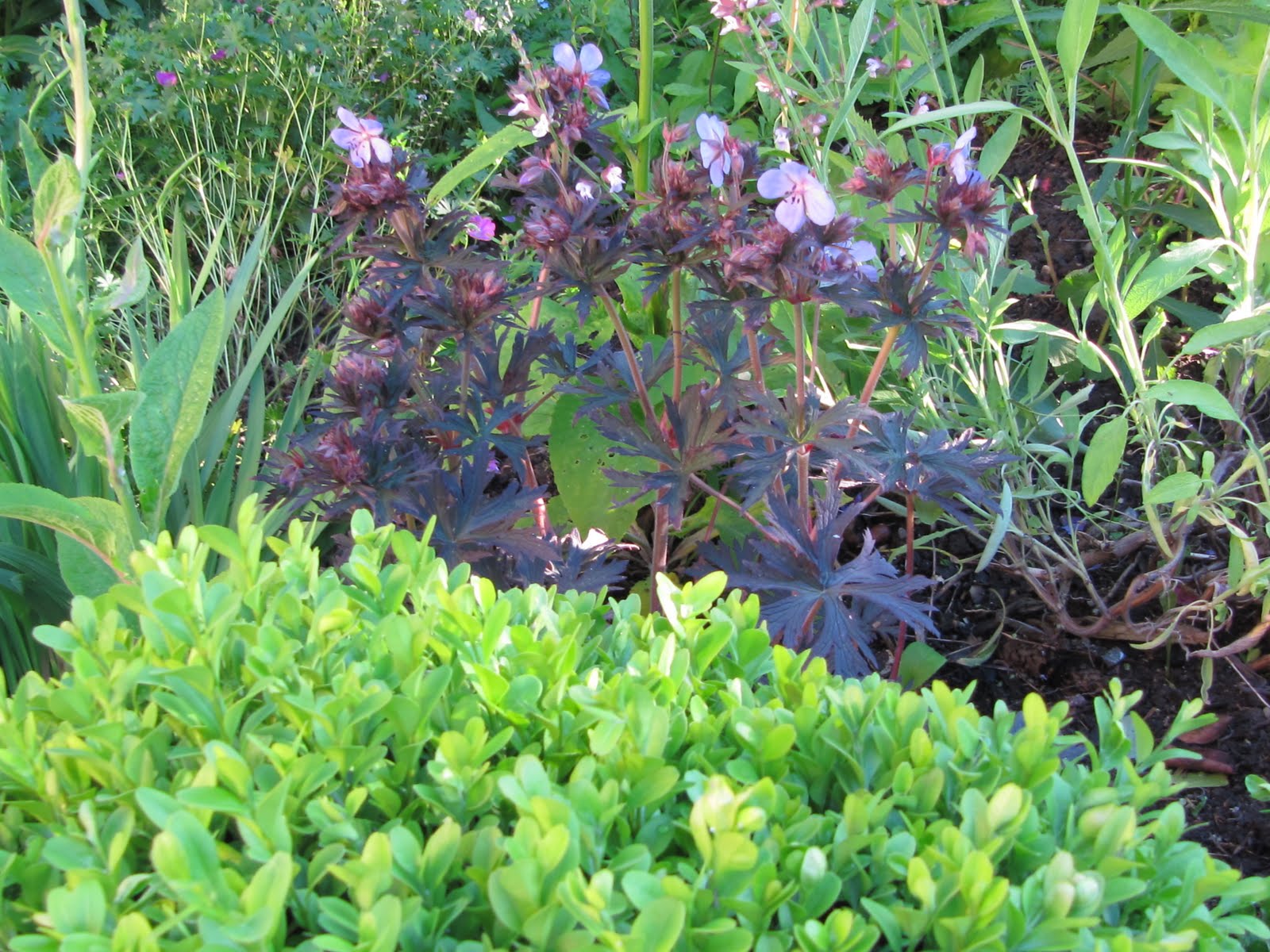 NataljaOblonskaja: Tjat, tjat, tjat...............