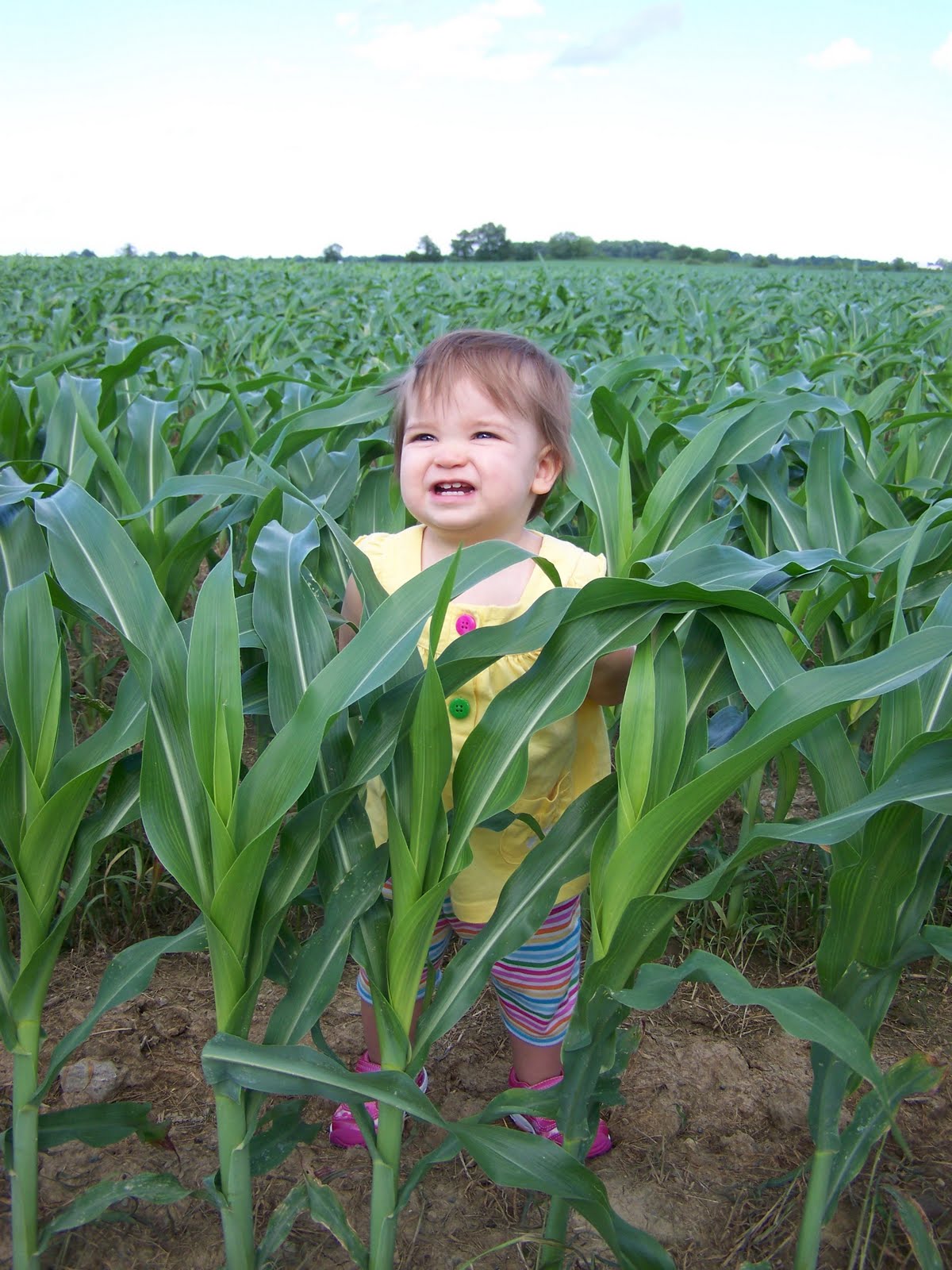 3 kids and lots of pigs: welcome to my pig pen: Farmer Fridays - Stages ...