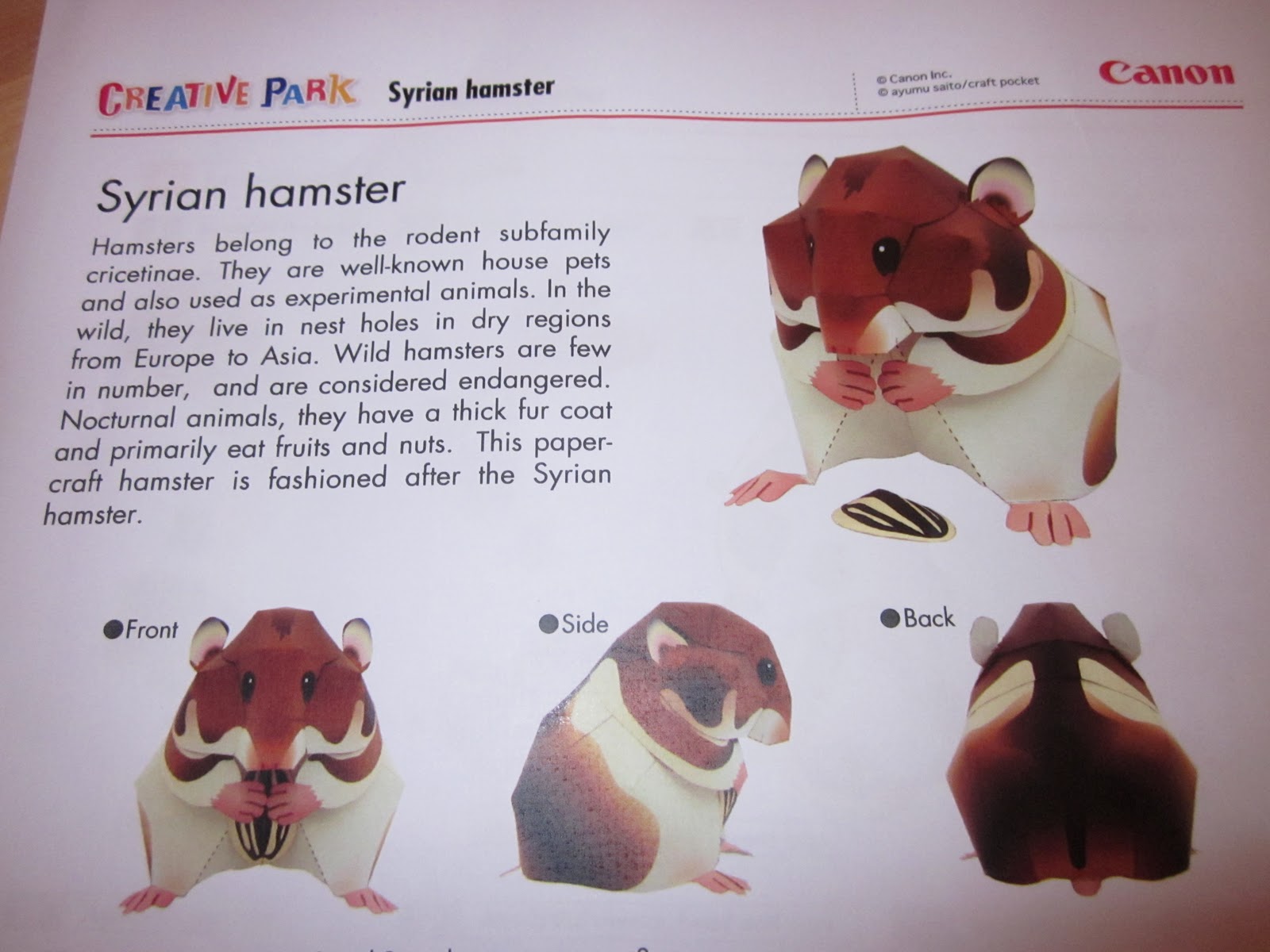 Twiham: Origami Hamster...