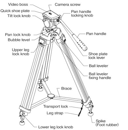 TIRTO ONLINE: Tripod