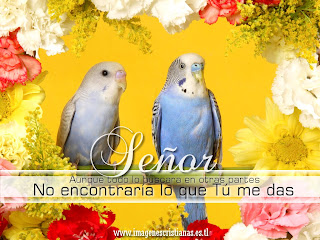 jesus, restaurando tu alma: Imágenes cristianas