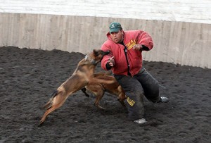 Un rincon para Ti _/(-_-)\_: ¿los perros huelen el miedo?