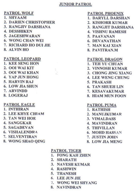 Third's Own: Scouting Activities