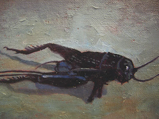 Deano's Den ( Gallery): Cricket-Insect Art