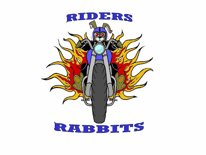 RIDER RABBITS