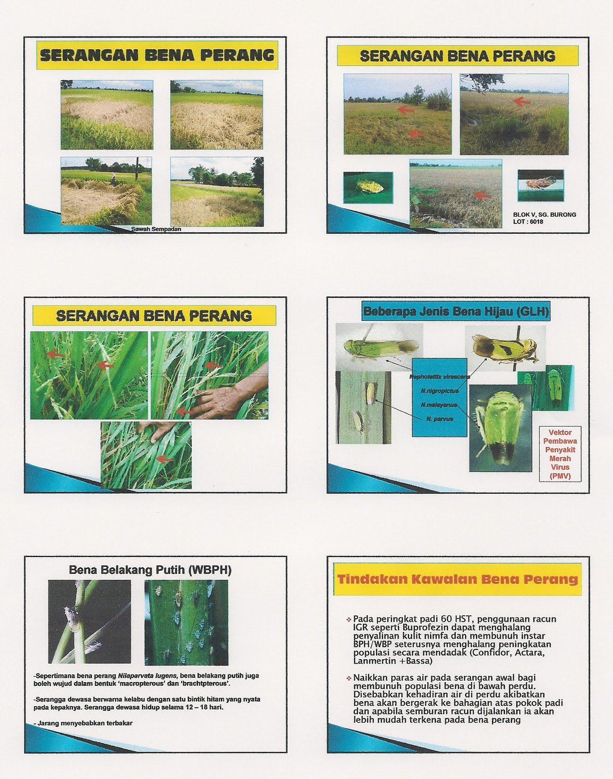 UNIT PERLINDUNGAN TANAMAN SUNGAI BURONG: Pengurusan Bena Perang ...