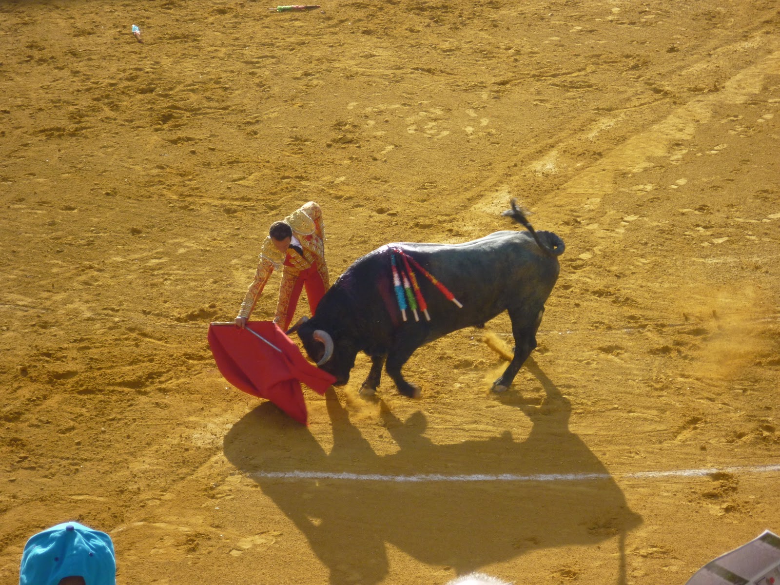 From San Diego to Spain: Toro, Toro! (warning....kind of graphic)