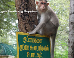 IdlyVadai - இட்லிவடை