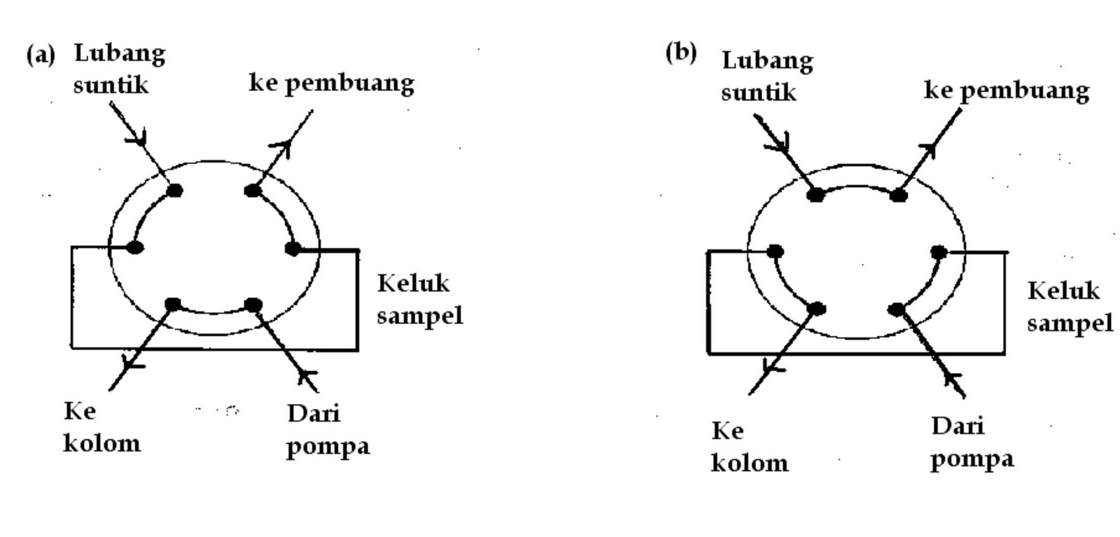 ANALISIS HISTAMIN PADA BERBAGAI JENIS IKAN PELAGIS DENGAN METODE HIGH ...