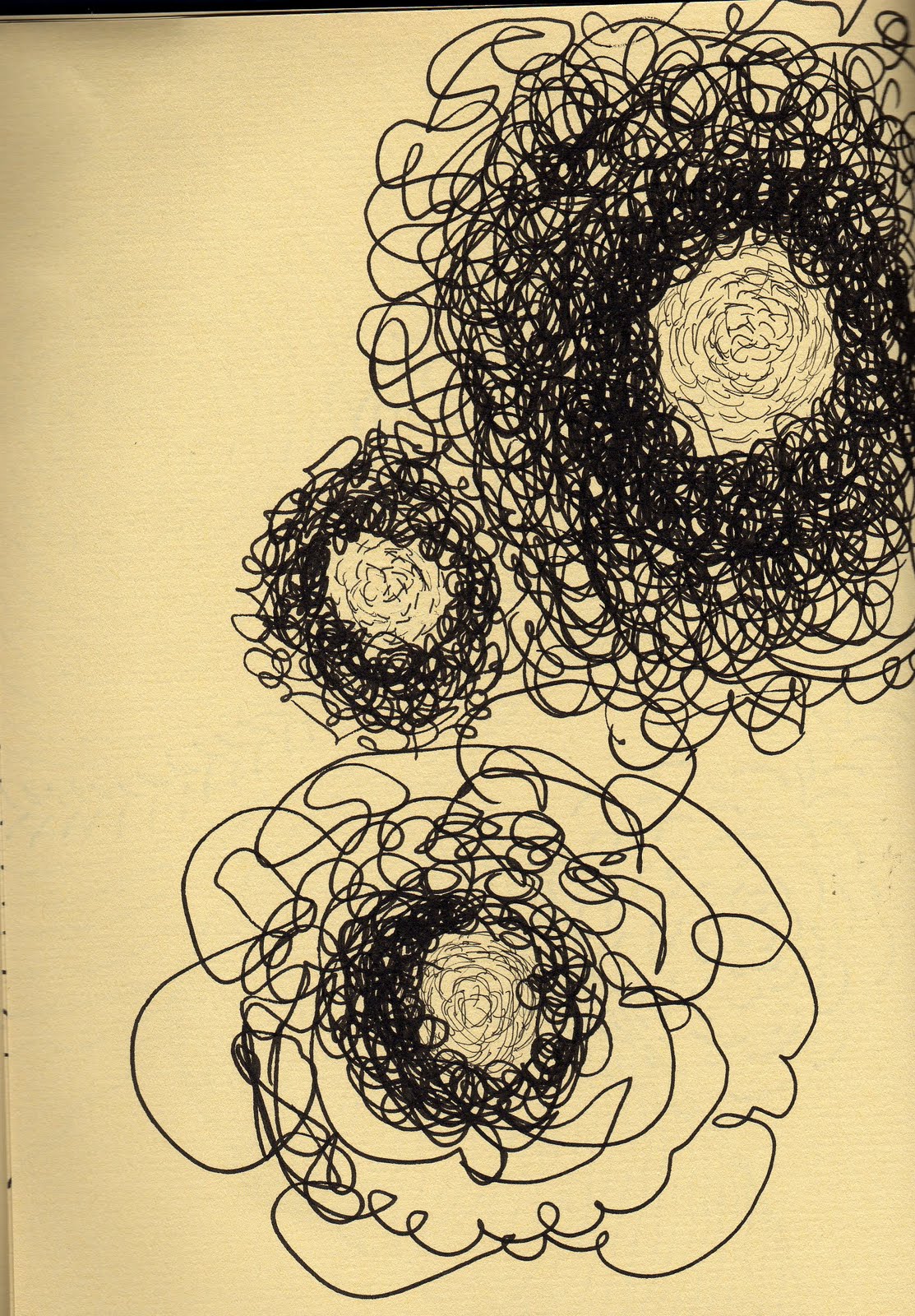 Pamela Weichmann: Scribble Flowers