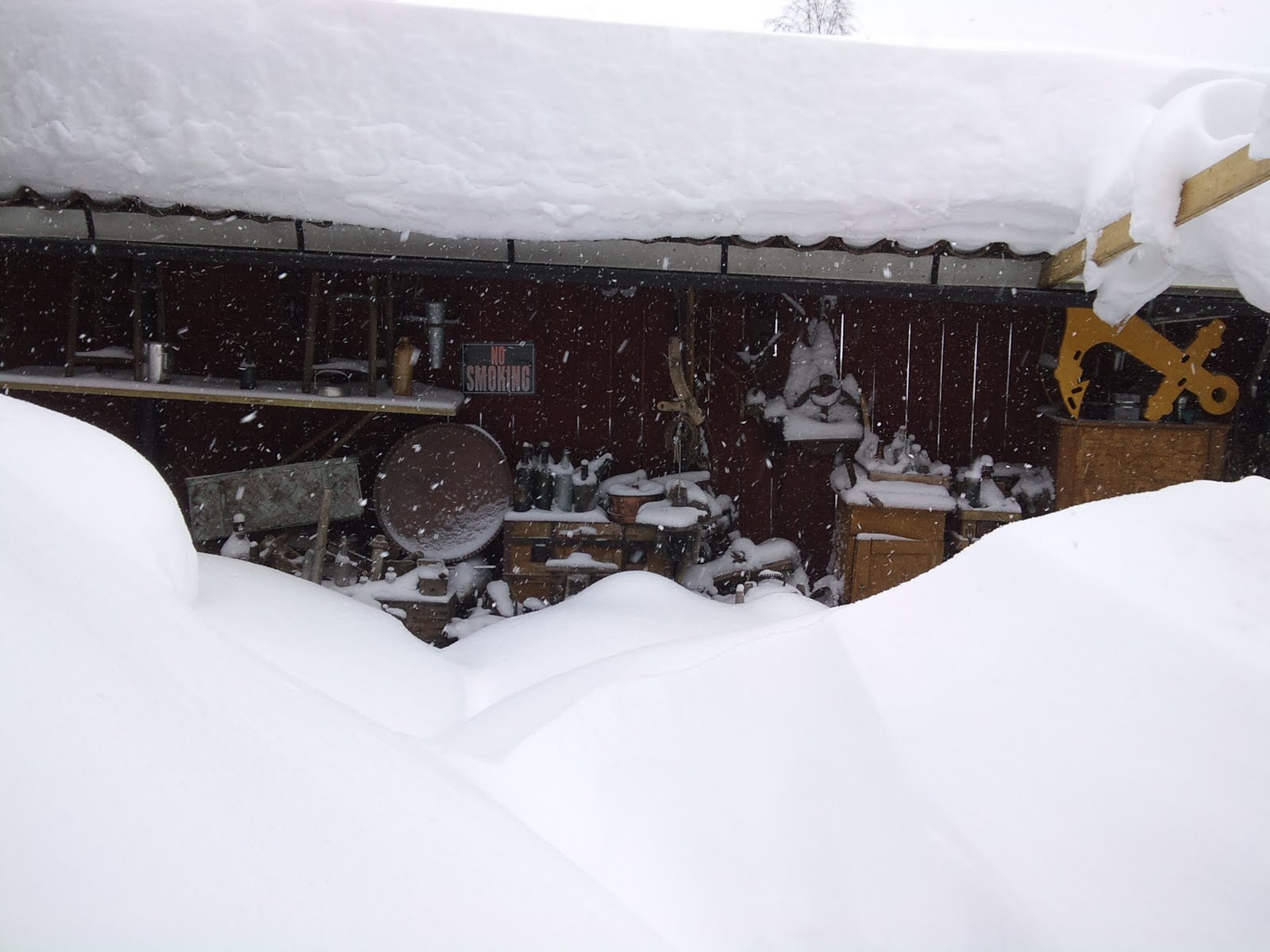 FORSGREN John Erik & Descendants: A "FINBUL WINTER" AT THE FORSGREN ...