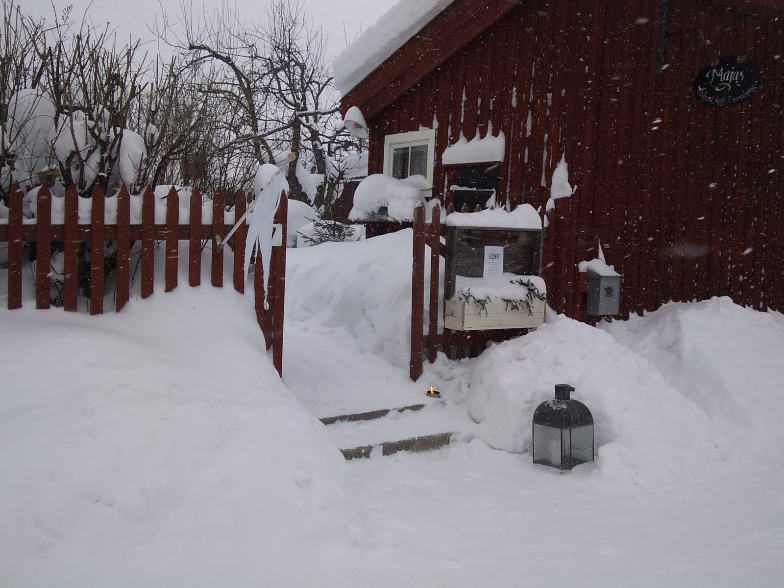 FORSGREN John Erik & Descendants: A "FINBUL WINTER" AT THE FORSGREN ...