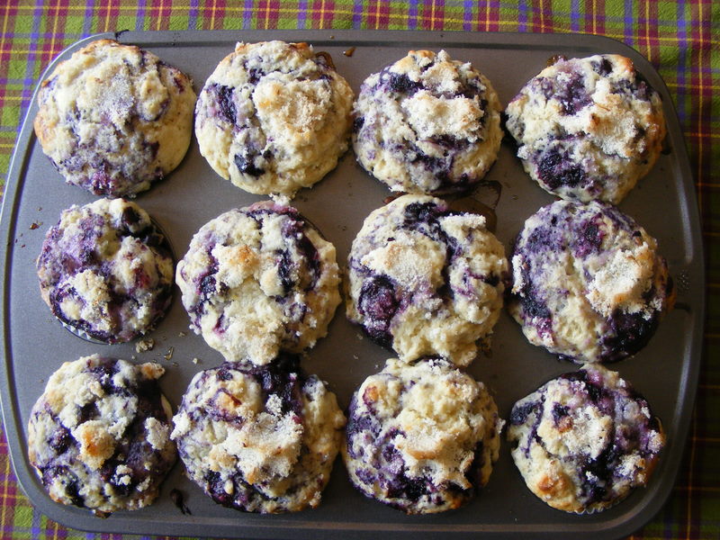 The Virtual Goody Plate: Cranberry Muffins