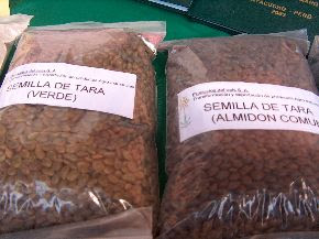 Producto no tradicional: La Tara: BOTÁNICA DE LA TARA