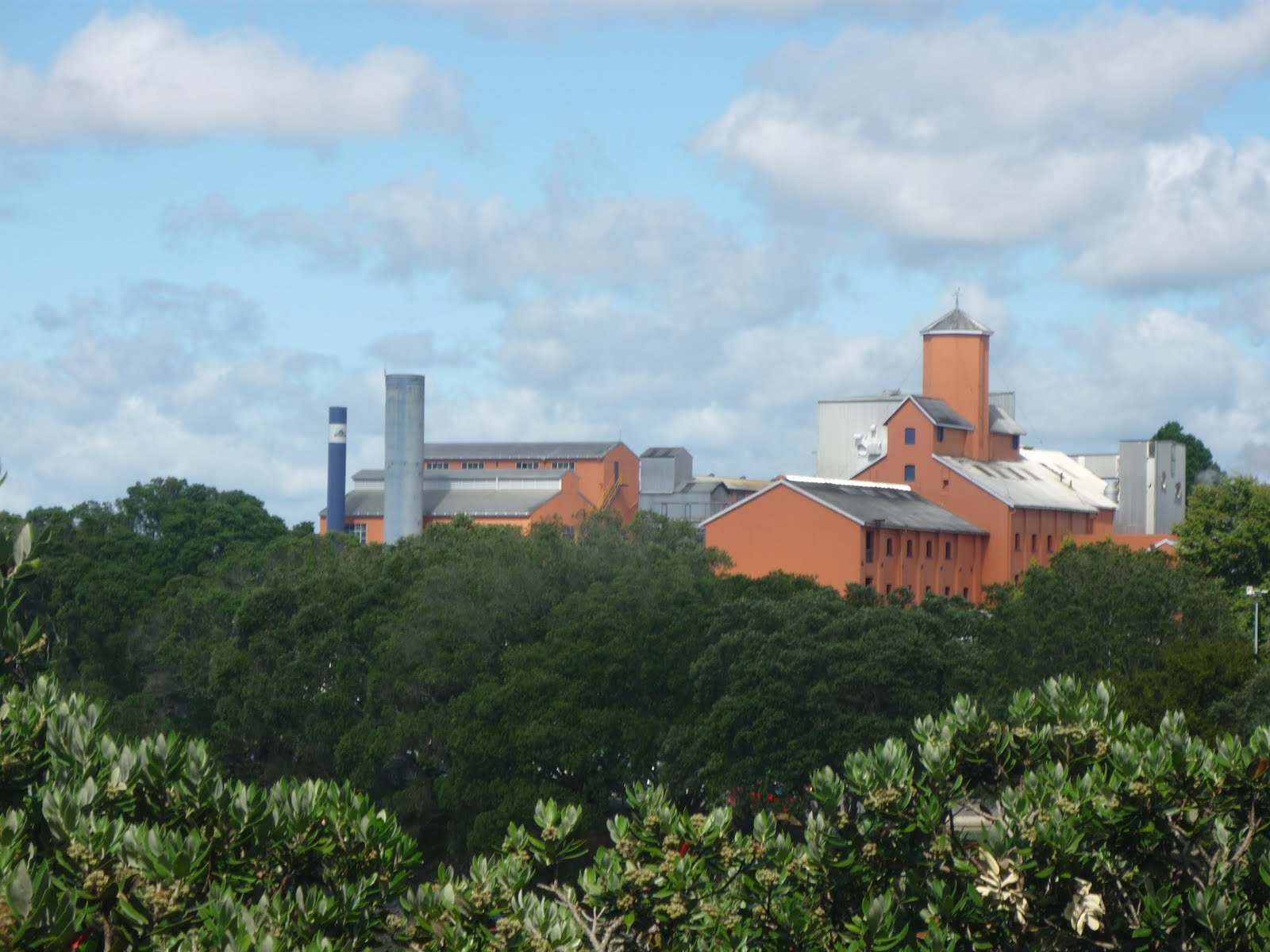 Tales of Jo: Chelsea Sugar Refinery