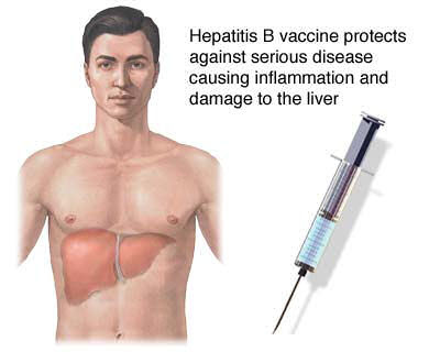 Healthy and Beauty Tips: Hepatitis B Treatments | Hepatitis B Cure