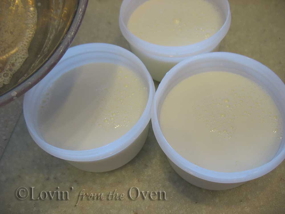 Frieda Loves Bread: Homemade Greek Style Yogurt