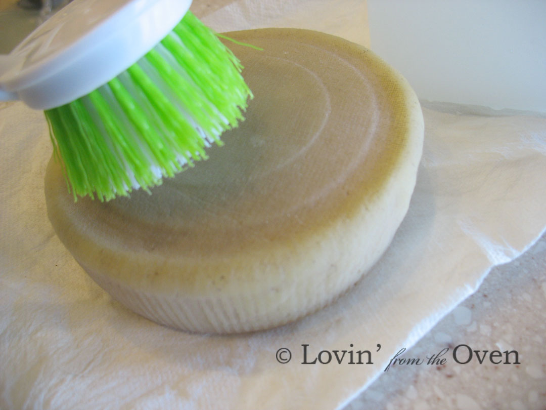 Frieda Loves Bread: Homemade Parmesan Cheese: Part One *And a New Look*