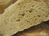 Frieda Loves Bread: BBA: Ciabatta, Round 2