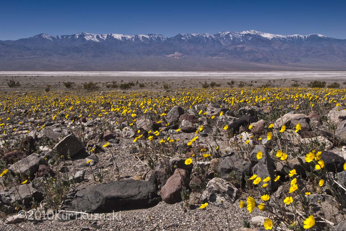 Southern Nevada Outside: Spring in Death Valley